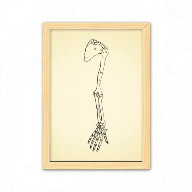 Bone Painting