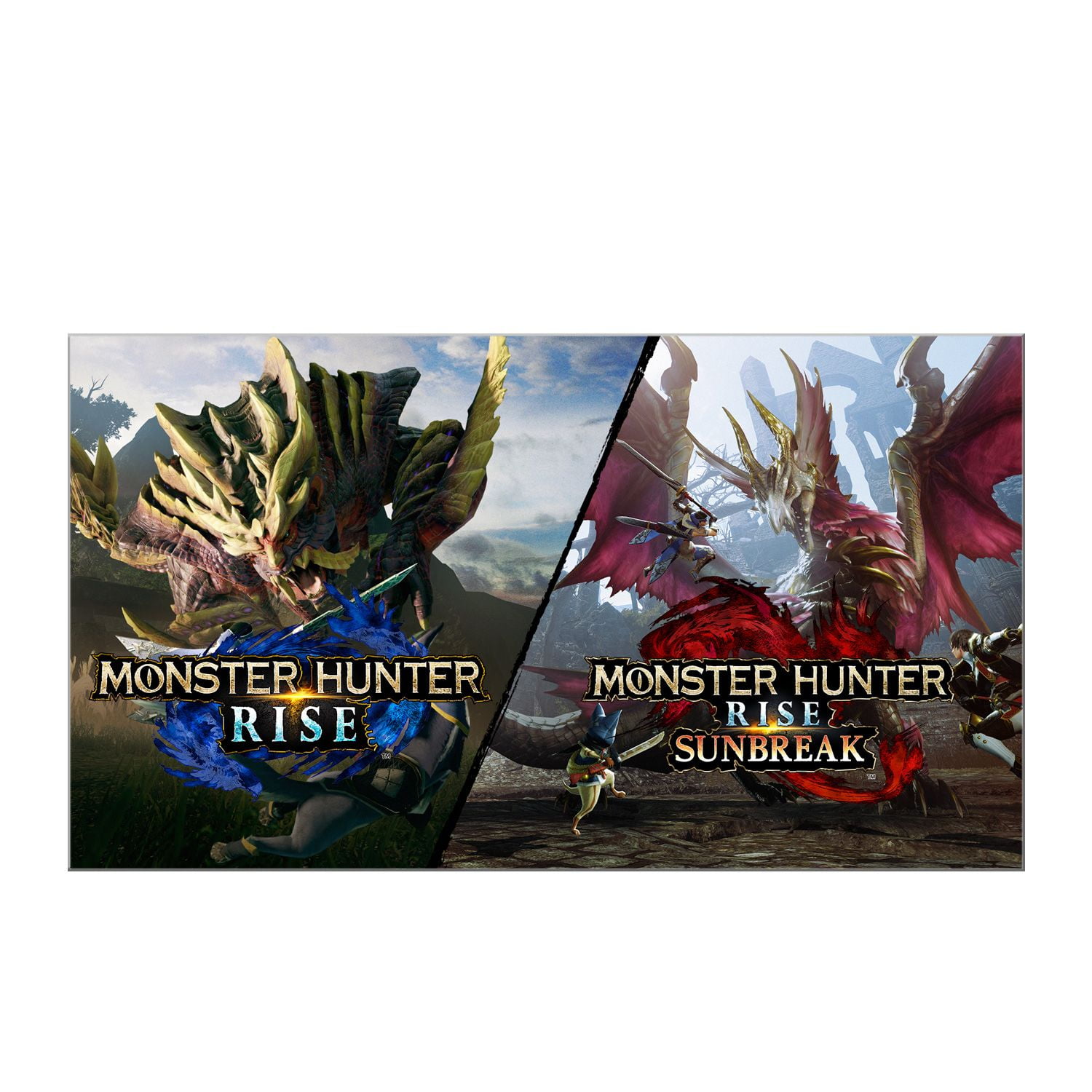 Monster Hunter Rise: Sunbreak - Nintendo Switch [Digital] - Walmart.com
