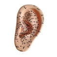 Vaveren Human Ear Acupoint Auricular Acupoint Model with Acupoint Soft ...