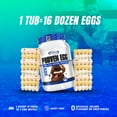 Gaspari Nutrition Proven Egg, 100% Egg White Protein, 25g Protein, Keto ...