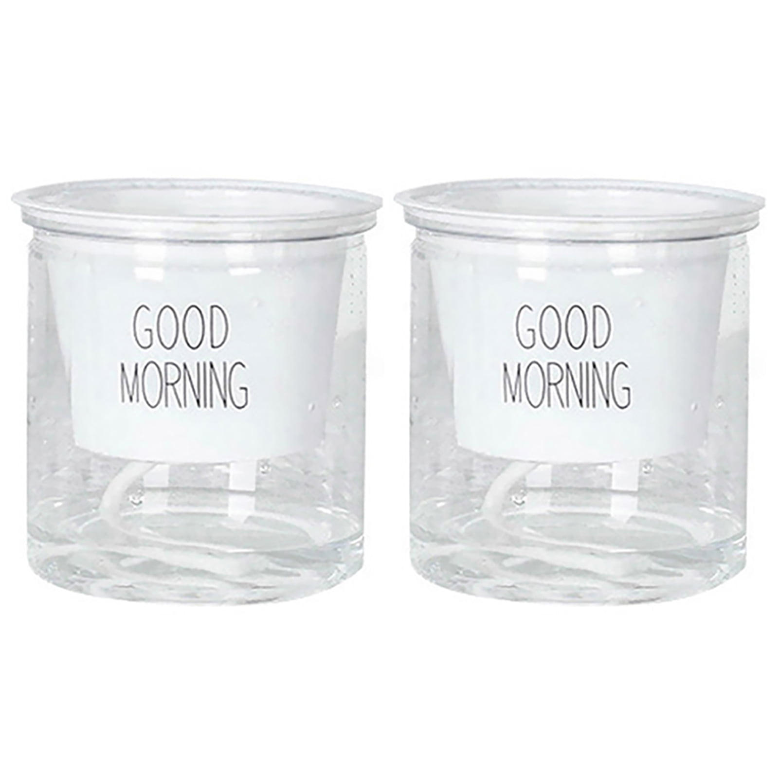 LYU 2 Sets Double Tier Hydroponic Epipremnum Aureum Self-watering ...