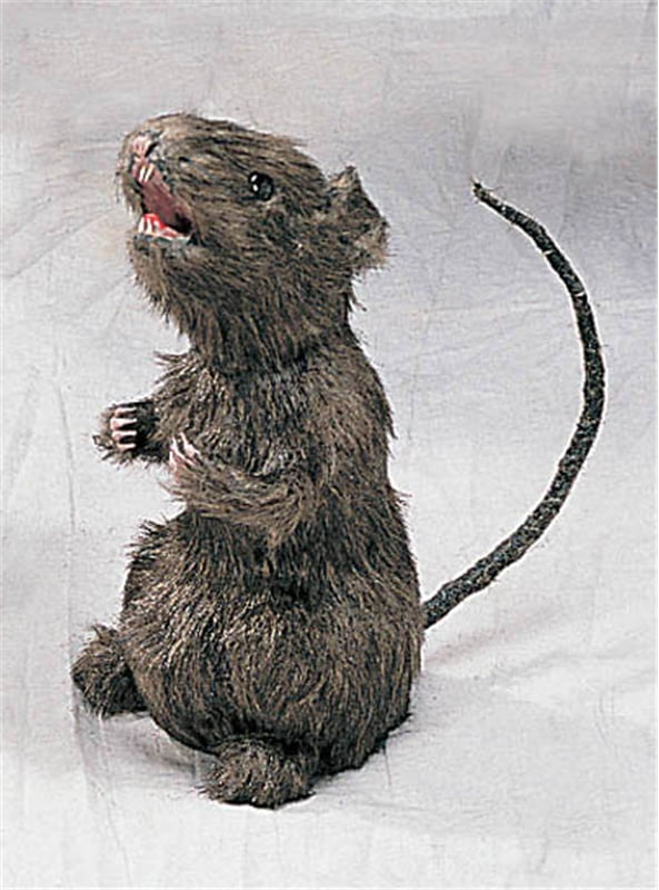 Standing Rat Prop - Walmart.com