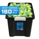 HART 12 Gallon Latching Plastic Storage Bin Container, Black with Blue ...