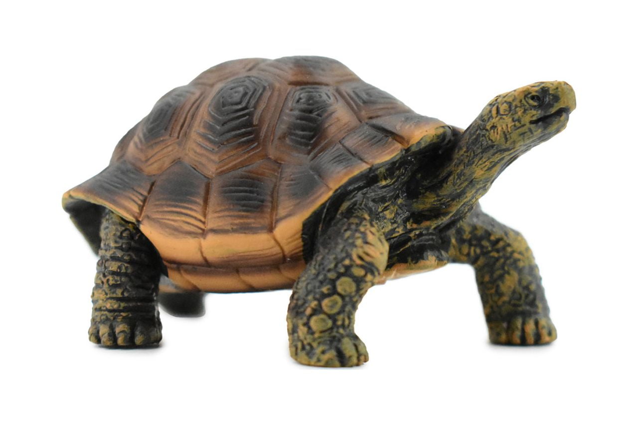 Tortoise, Turtle, Museum Quality, Plastic Animal, Educational ...
