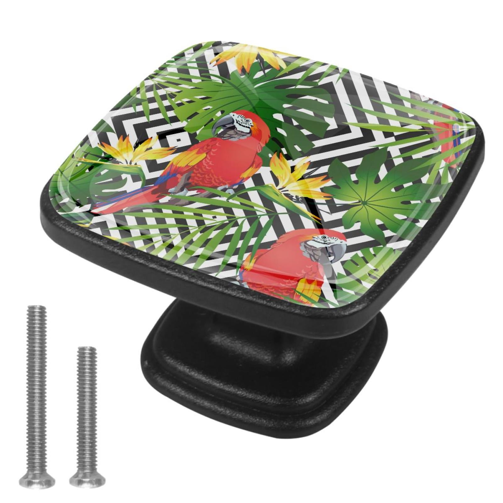 4 Pcs Cabinet Handle Drawer Pulls Parrot Knobs with Screws Square ...