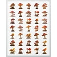 35pcs Natural Mushroom Stickers Nature Teacher Reward Autumn Graffiti ...