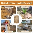 Triani 300g Natural Wheat Straw Grass Harvested Soft and Comfortable ...