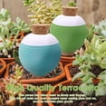 4PCS Plant Watering Globes, Large Terracotta Automatic Watering Stake ...