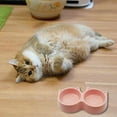 Cat And Dog Bowls Round Shaped Pet Bowls In Cute Cat Face Design Ideal ...