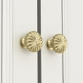 40 Pack Gold Cabinet Knobs Dresser Knob for Drawer Hardware Handles and ...