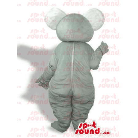 Grey Koala Animal Plush SPOTSOUND Mascot With A White Belly And Blue ...