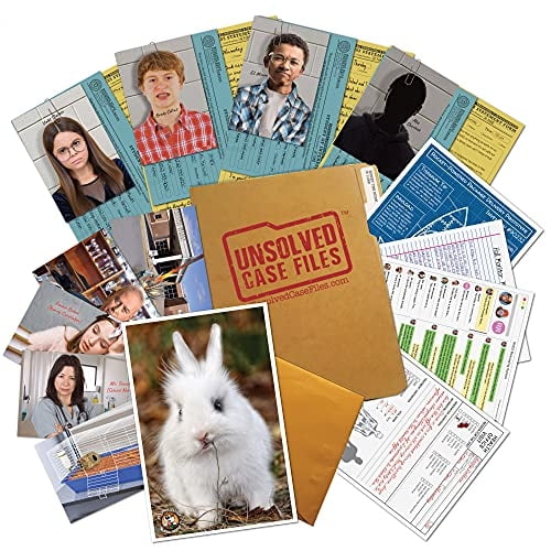 ARCHIVOS DE CASOS SIN RESOLVER | Honey The Bunny - Un caso m Unsolved Case Files Unsolved Case ...