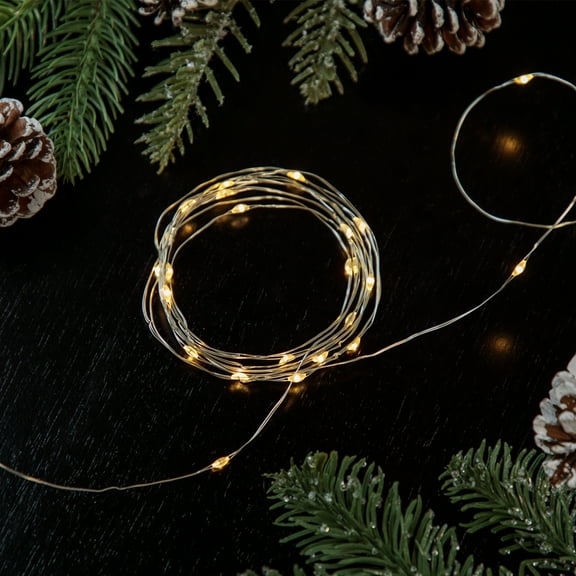 Mainstays Battery-Operated Indoor Outdoor 50-Count LED Warm White Wire ...
