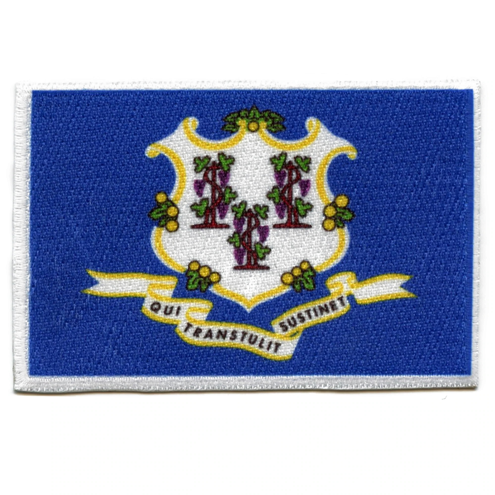 Connecticut Patch State Flag Embroidered Iron On - Walmart.com