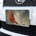 Cardinal Red Bird on Tree Branch Novelty Metal Vanity Tag License Plate ...