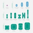 Welly Flex Fabric Bandages Refill Pack 100 Count Assorted Sizes for ...