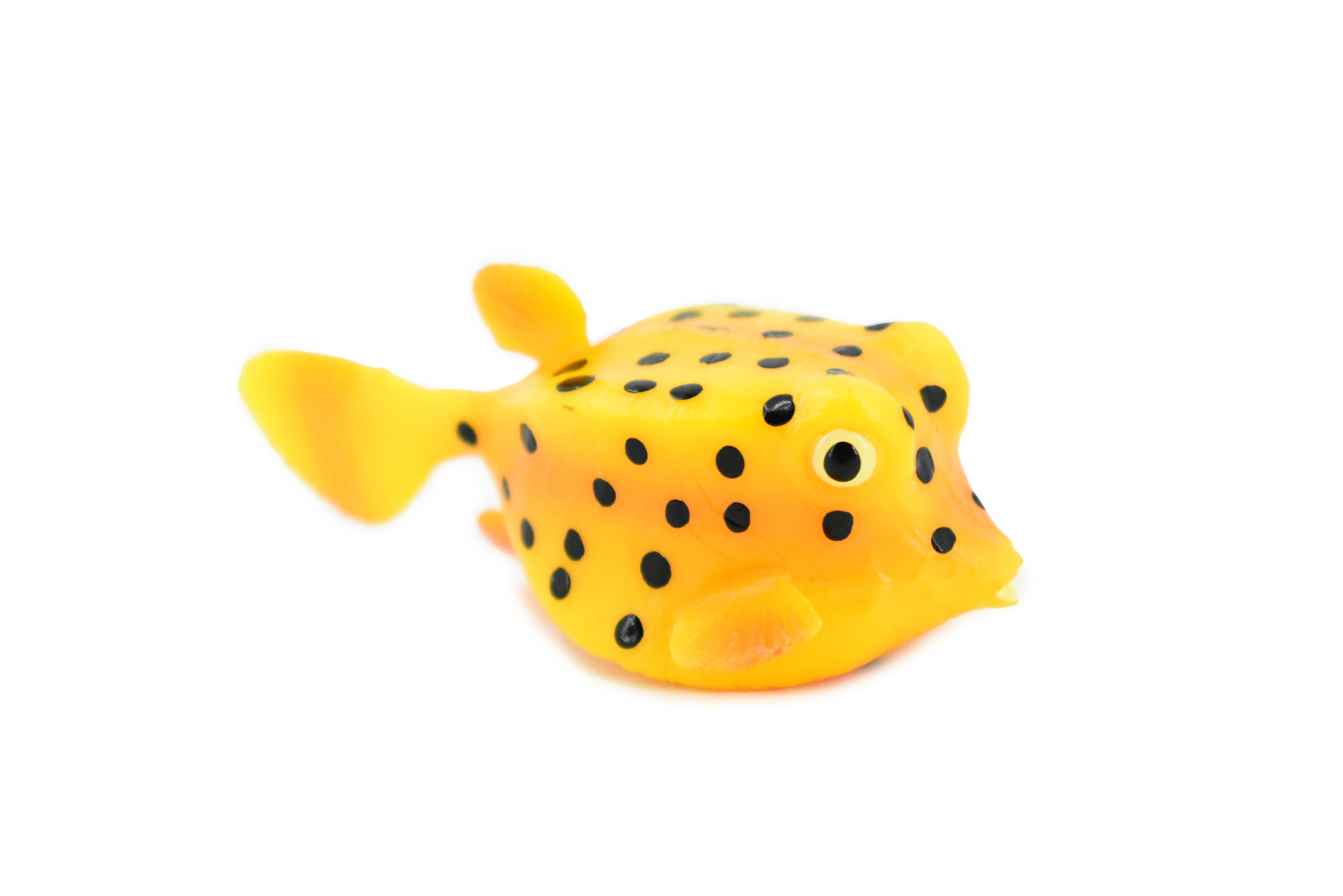 Trunkfish Trunk Fish, Spotted, Rubber Fish, Realistic Toy Figure, Model ...
