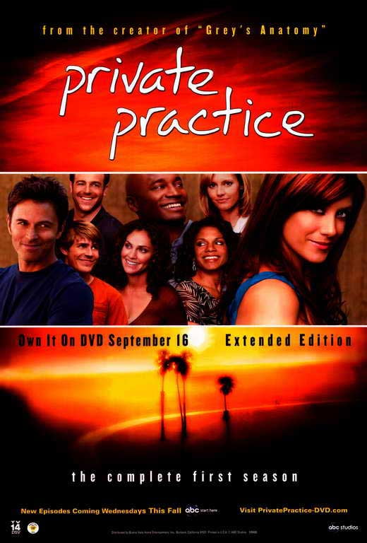 Private Practice (TV) - movie POSTER (Style C) (11" x 17") (2007) - Walmart.com