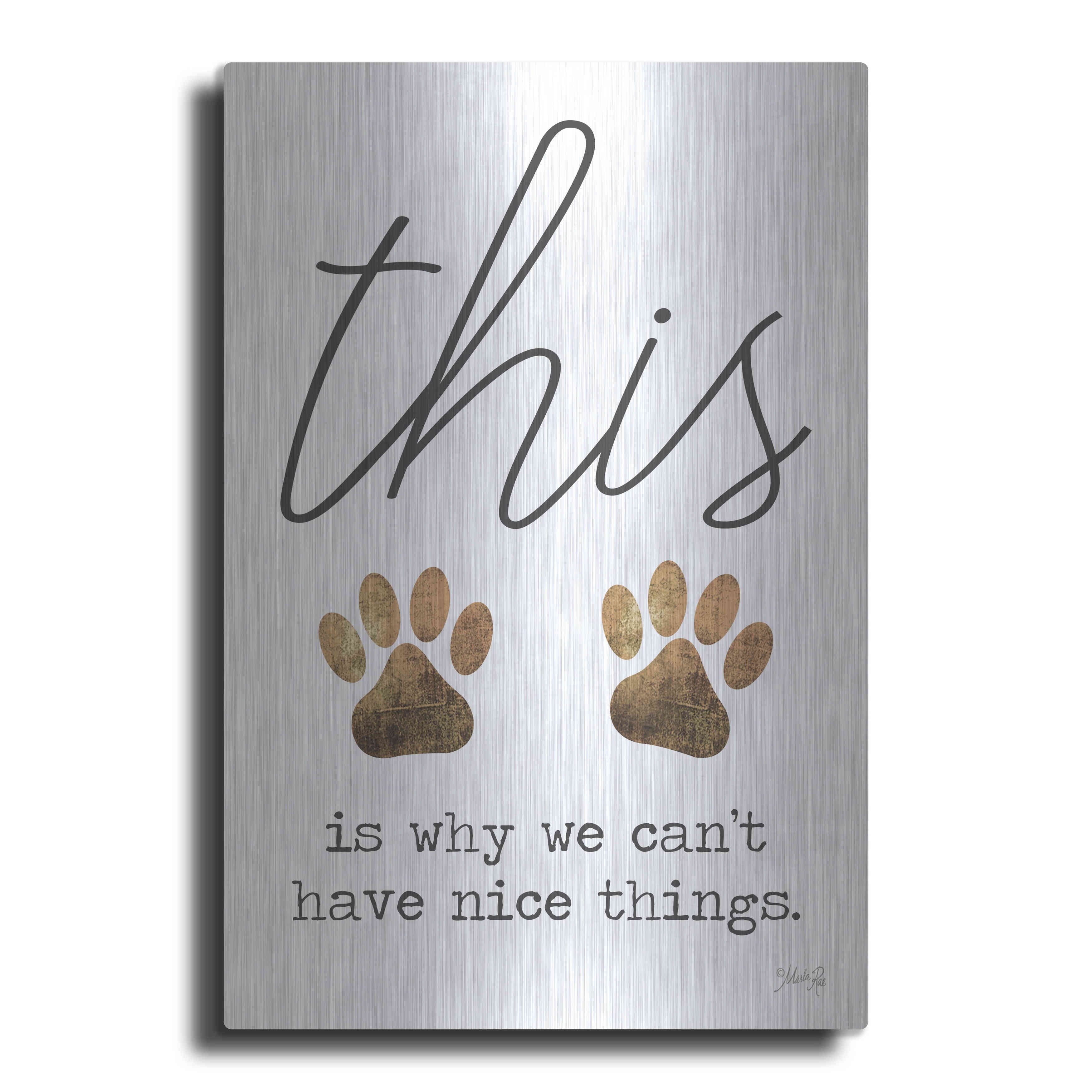 Luxe Metal Art 'Can't Have Nice Things' by Marla Rae, Metal Wall Art ...