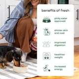 Freshpet Fresh Dog Food, Small Dog Chicken Recipe, Small Bites Freshly ...