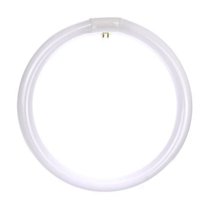 SUNLITE FC12T9/DL 32W 12 inch T9 Daylight Circline 4-Pin Light Bulb ...