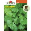 20 Pack CORSICAN MINT Mentha Requienii Herb Seeds, Fragrant Ground ...