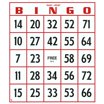 Low Vision Bingo Cards -10 cards - Walmart.com