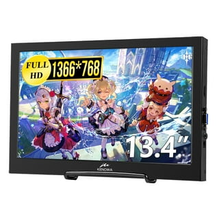 Ps2 Portable Screen