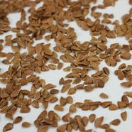 Chia Sprouting Seeds: 3 g Packet ~2000 Seeds - Non-GMO, Black Chia ...