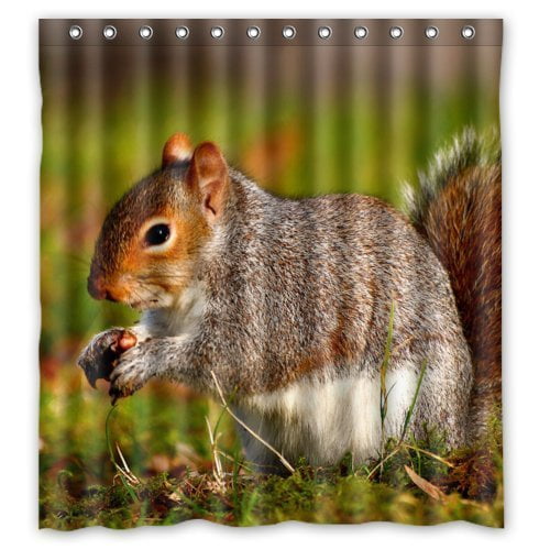 Click here for Yusdecor Cute Squirrel Eat Pine Nut Funny Animal W... prices