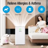 AIRPLUS Air Purifier, H13 HEPA Filter, 2500 Sq ft Large Room, Auto Mode ...