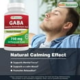 Best Naturals GABA 750 mg Pure Supplement Pills, 100 Vegetarian Capsules - Walmart.com
