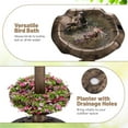 Demi Bonn 30" Outdoor Pedestal Garden Bird Bath with Solar Light, Bird ...