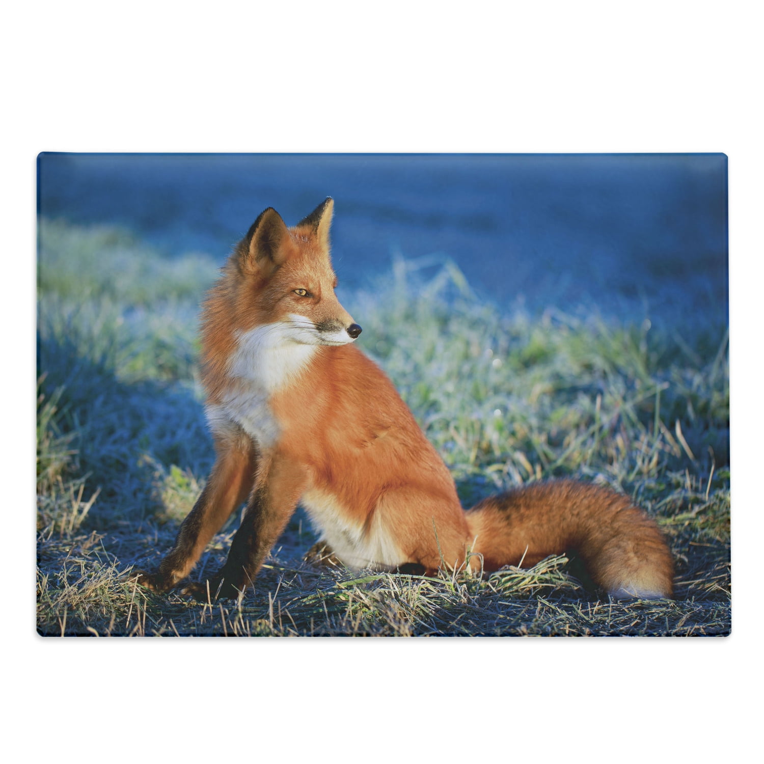 Fox Cutting Board, Serene Autumn Field in Cold Morning Animal Nature ...