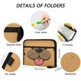 ALAZA Expanding File Folder 13 Pockets Accordion Document Organizer ...