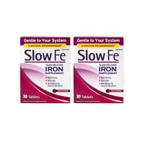 Slow FE High Potency Iron Supplements with Ferrous Sulfate, Gentle 60 ...