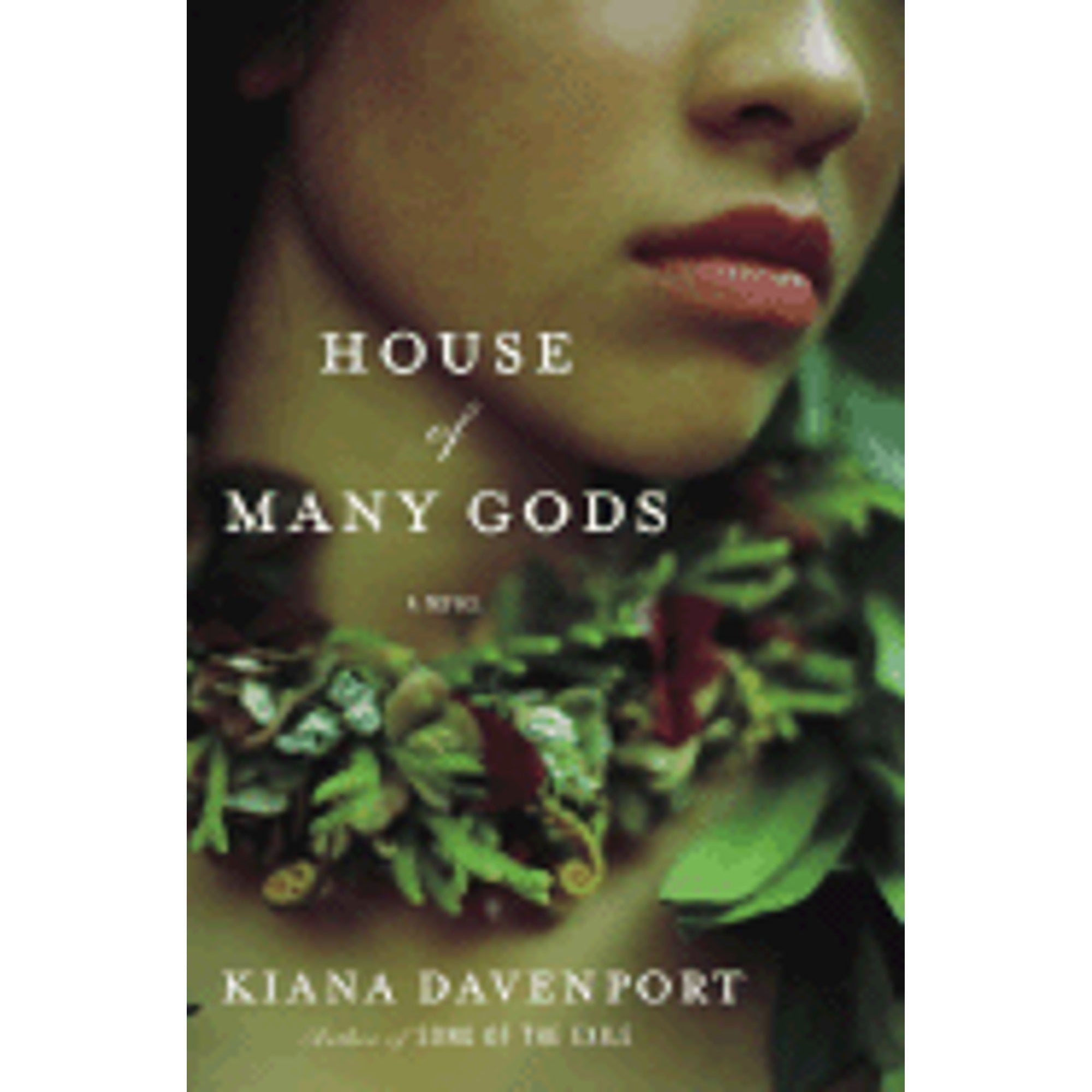 House of Many Gods - Walmart.com