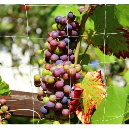 JOYWEI 3*10m Lattice Net, Heavy Duty Polyester Plant Net, Square Mesh ...