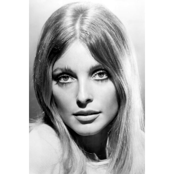 Sharon Tate 24x36 Poster iconic portrait of 1960's legend - Walmart.com ...