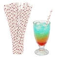 Paper Drinking Straws 100 Pack Biodegradable Polka Dot Pattern ...