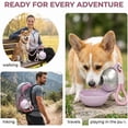 Dog Water Bottle, Stainless Steel Portable Pet Travel Flask with ...