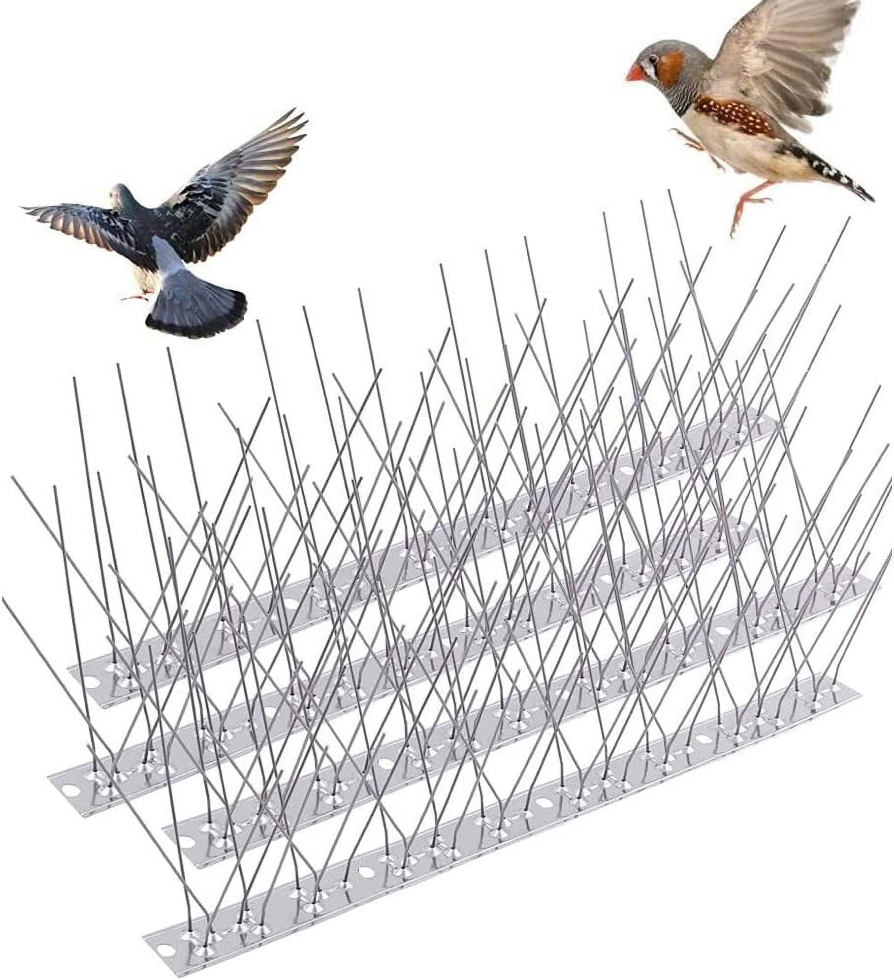 4 Piezas Picos para Pájaros De Acero Inoxidable, Picos para Pájaros De ...