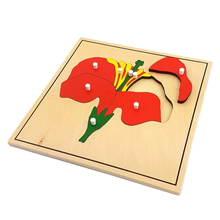 IFIT Montessori Flower Puzzle, Montessori Toy Botany Material | Walmart ...