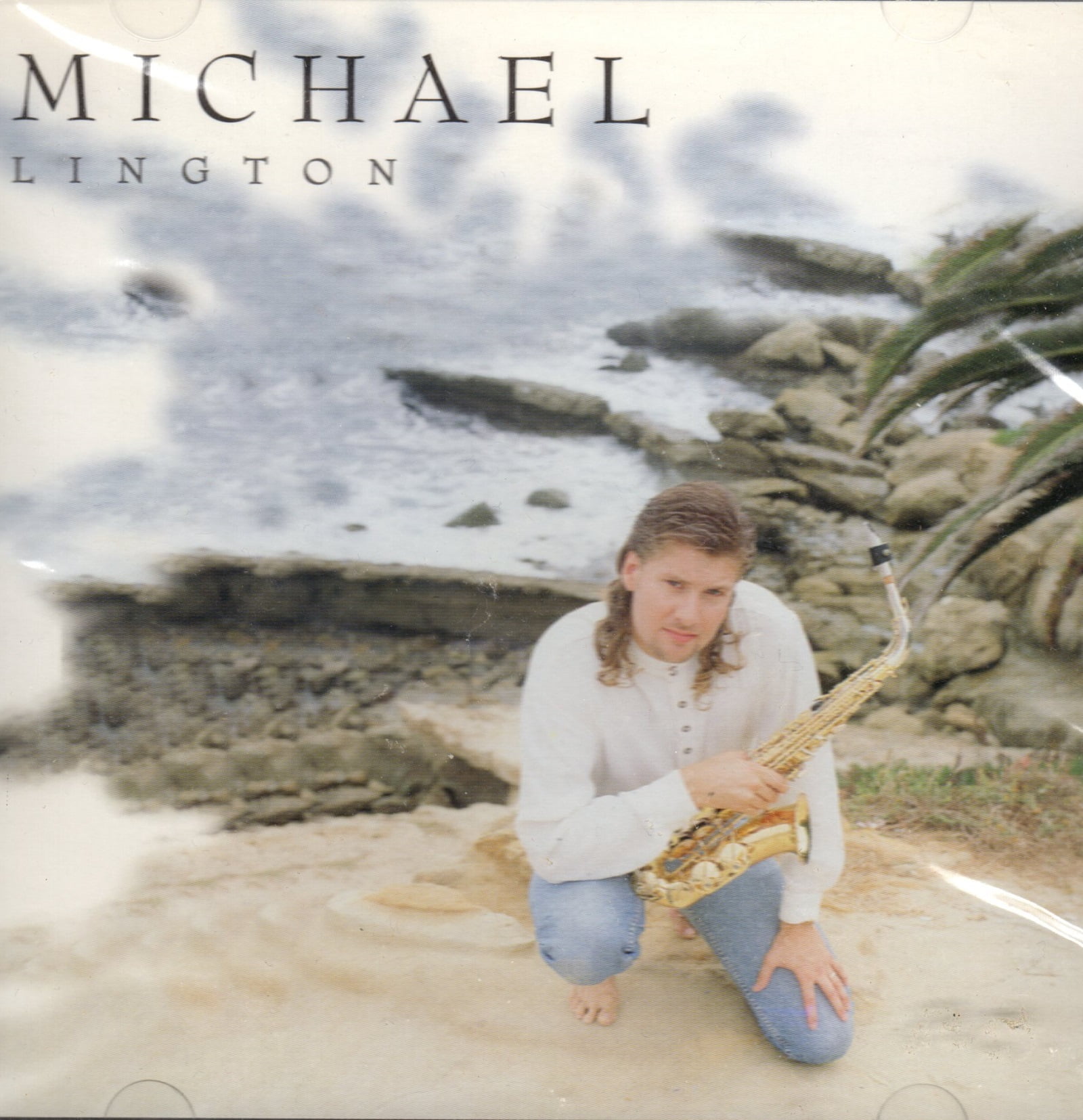 Michael Lington - Michael Lington - Walmart.com