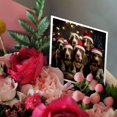 3drose, Photo of Five Basset Hound Pups in Santa Hats Posing on Wooden ...