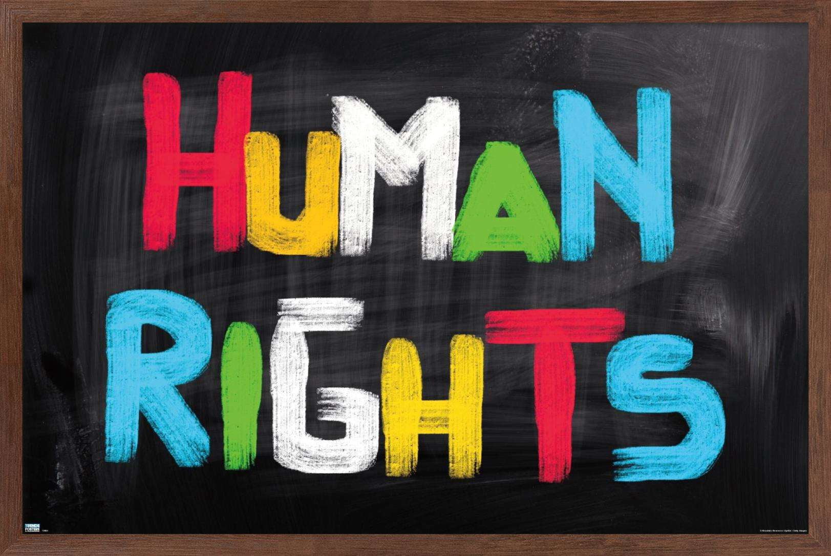 Human Rights Wall Poster, 14.725" x 22.375", Framed - Walmart.com