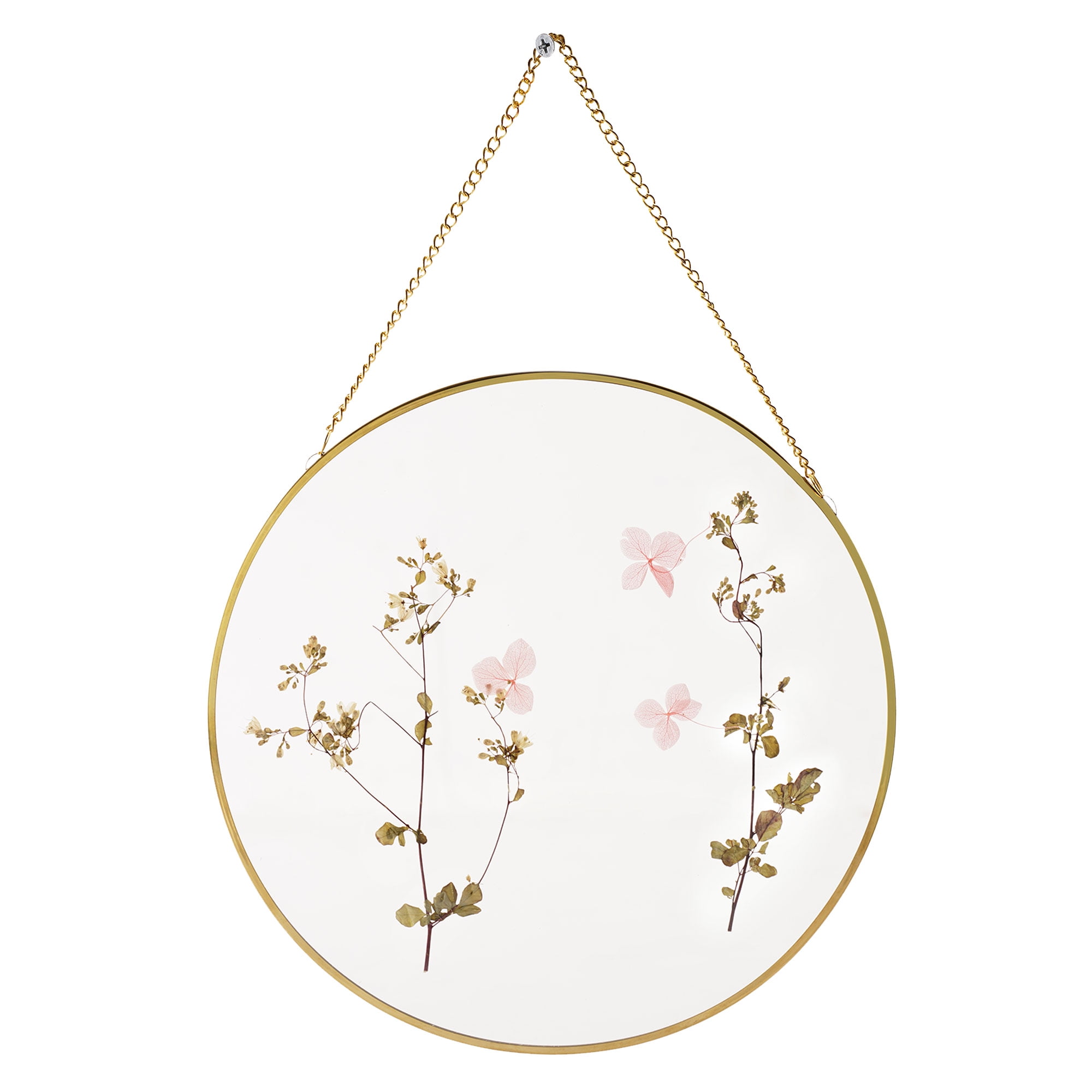 Crystal Art Gallery Round Pressed Dried Flowers Wall Décor Size 9" x 9 ...