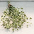25 White Glitter Sea Holly Seeds - Eryngium Flower Seeds - Walmart.com
