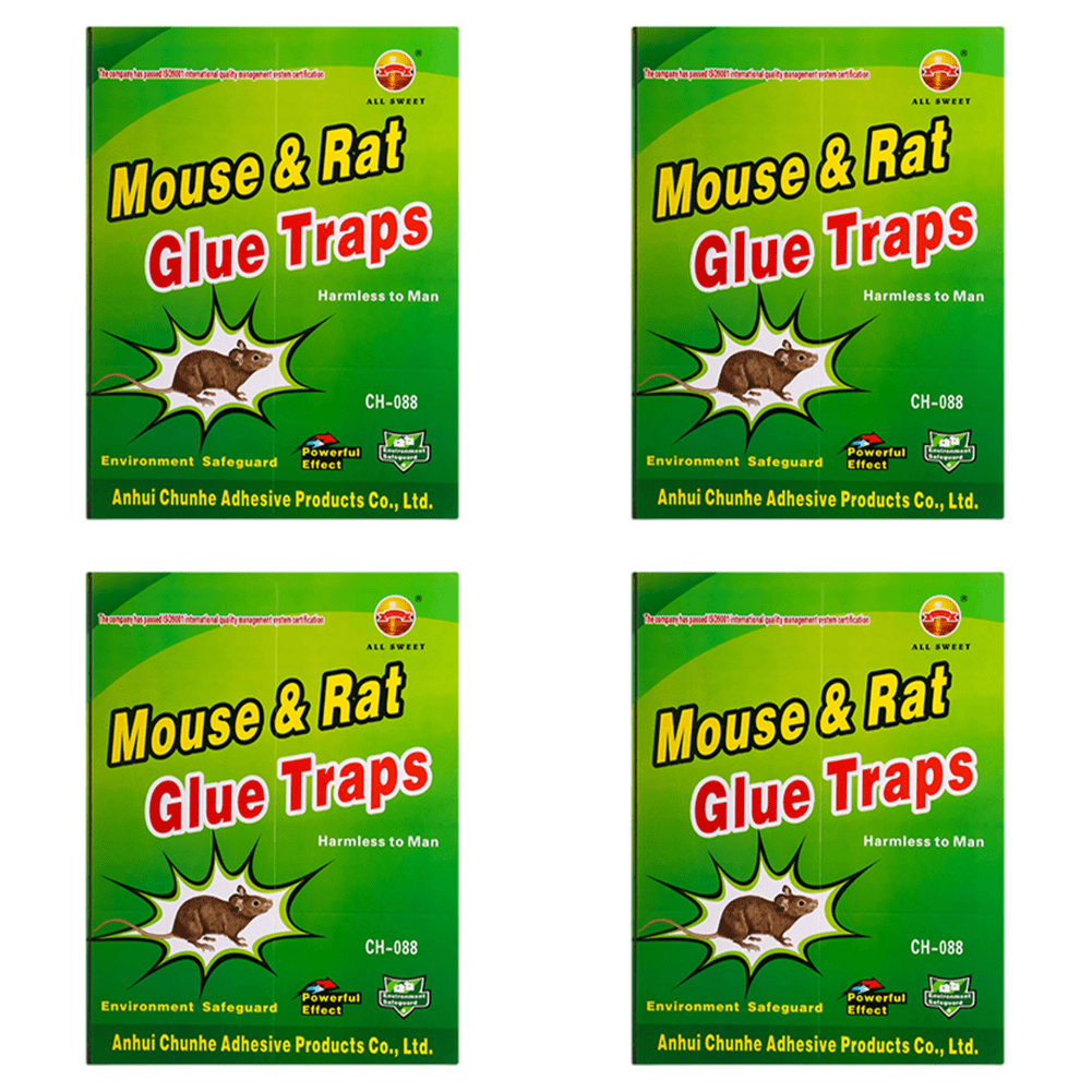 Trampa Ratón Tablas Pegamento No Tóxicas Trampas Insecto Rata para ...