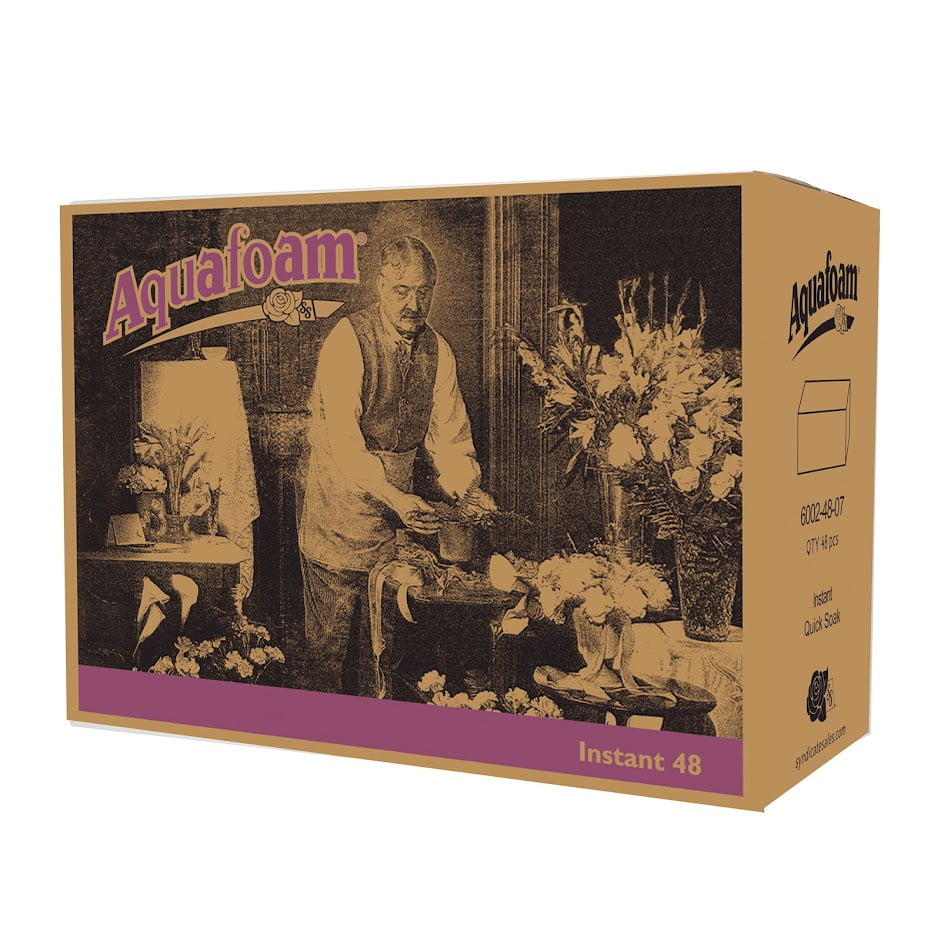 Click here for Lifestylechannel Aquafoam Instant Floral Foam Bric... prices